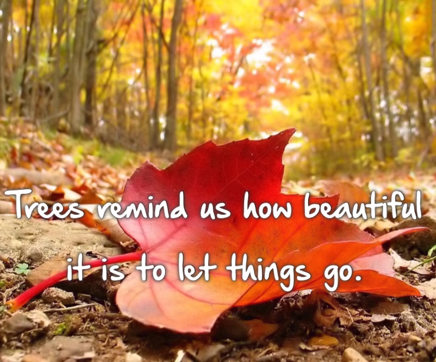 Shed the stress. Let. It. Fall.🍂 – Thriving Under Pressure