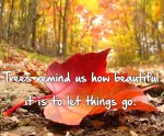 Shed the stress. Let. It. Fall.🍂 – Thriving Under Pressure